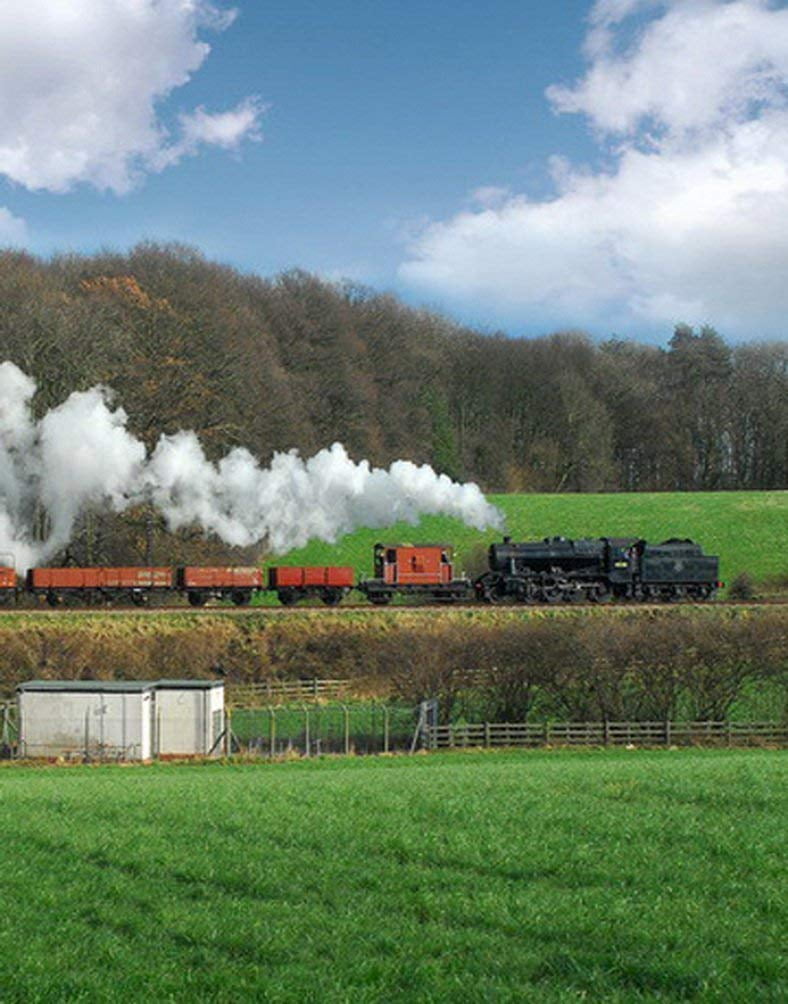 ABPHOTO Polyester Grass Train Trees Photography Backdrops Photo Props ...