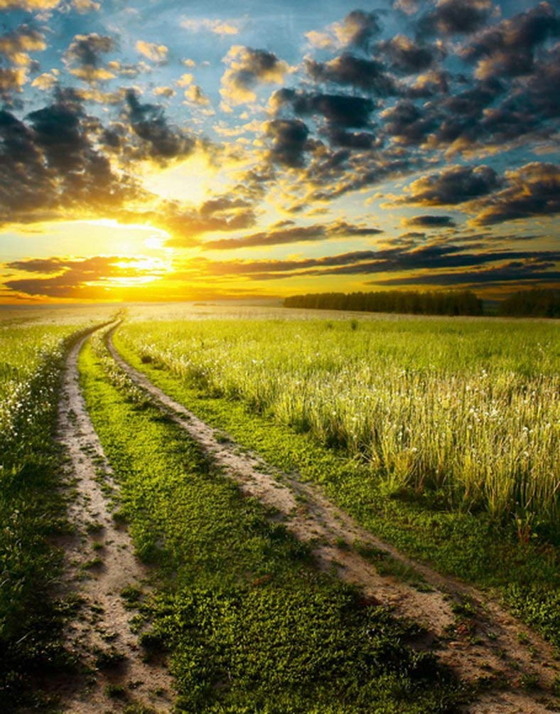 ABPHOTO Polyester Grassland Sunrise Photography Backdrops Photo Props ...