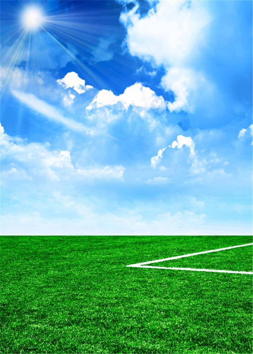 ABPHOTO Polyester Green Football Pitch Sport Field Photography ...
