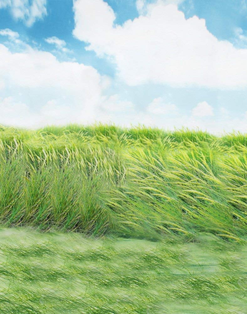 ABPHOTO Polyester Green Grass Blue Sky Photography Backdrops Photo ...