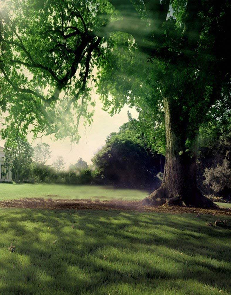 ABPHOTO Polyester Green Tree Grass Photography Backdrops Photo Props ...