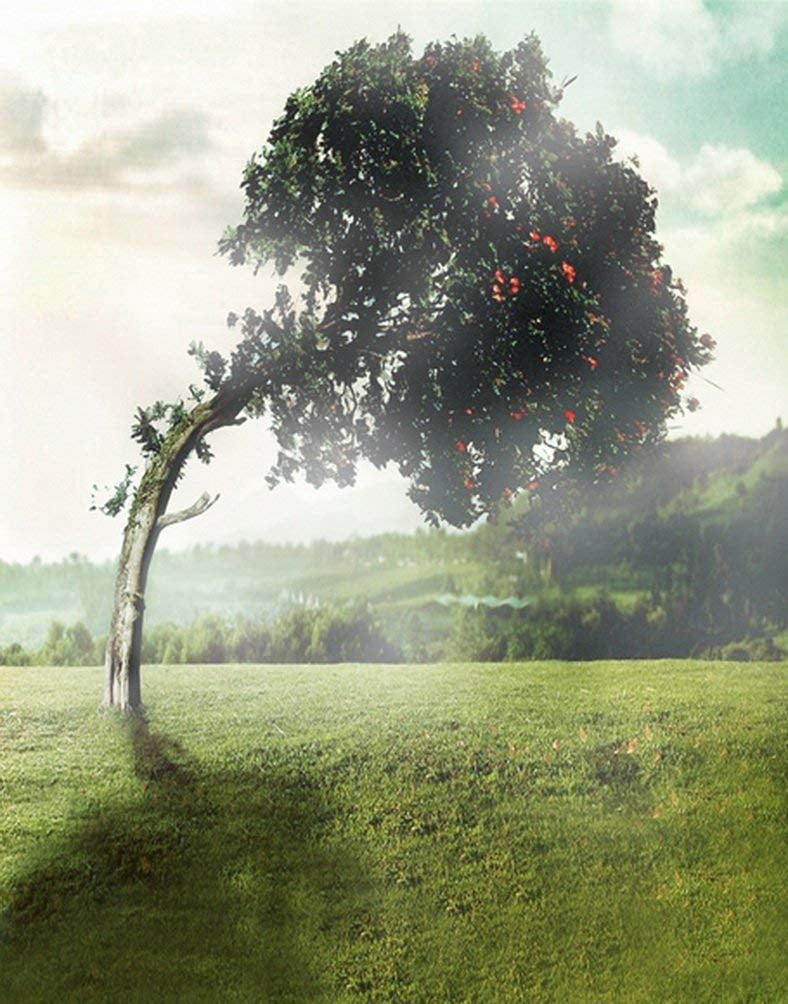 ABPHOTO Polyester Green Tree Grass Photography Backdrops Photo Props ...