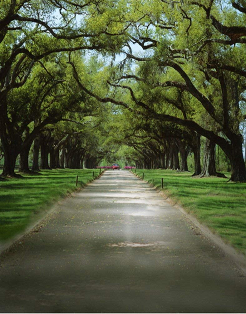 ABPHOTO Polyester Green Tree Road Photography Backdrops Photo Props ...