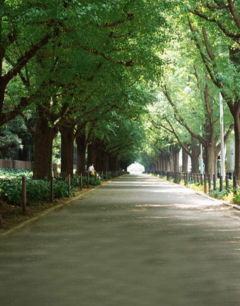 ABPHOTO Polyester Green Trees Road Photography Backdrops Photo Props ...