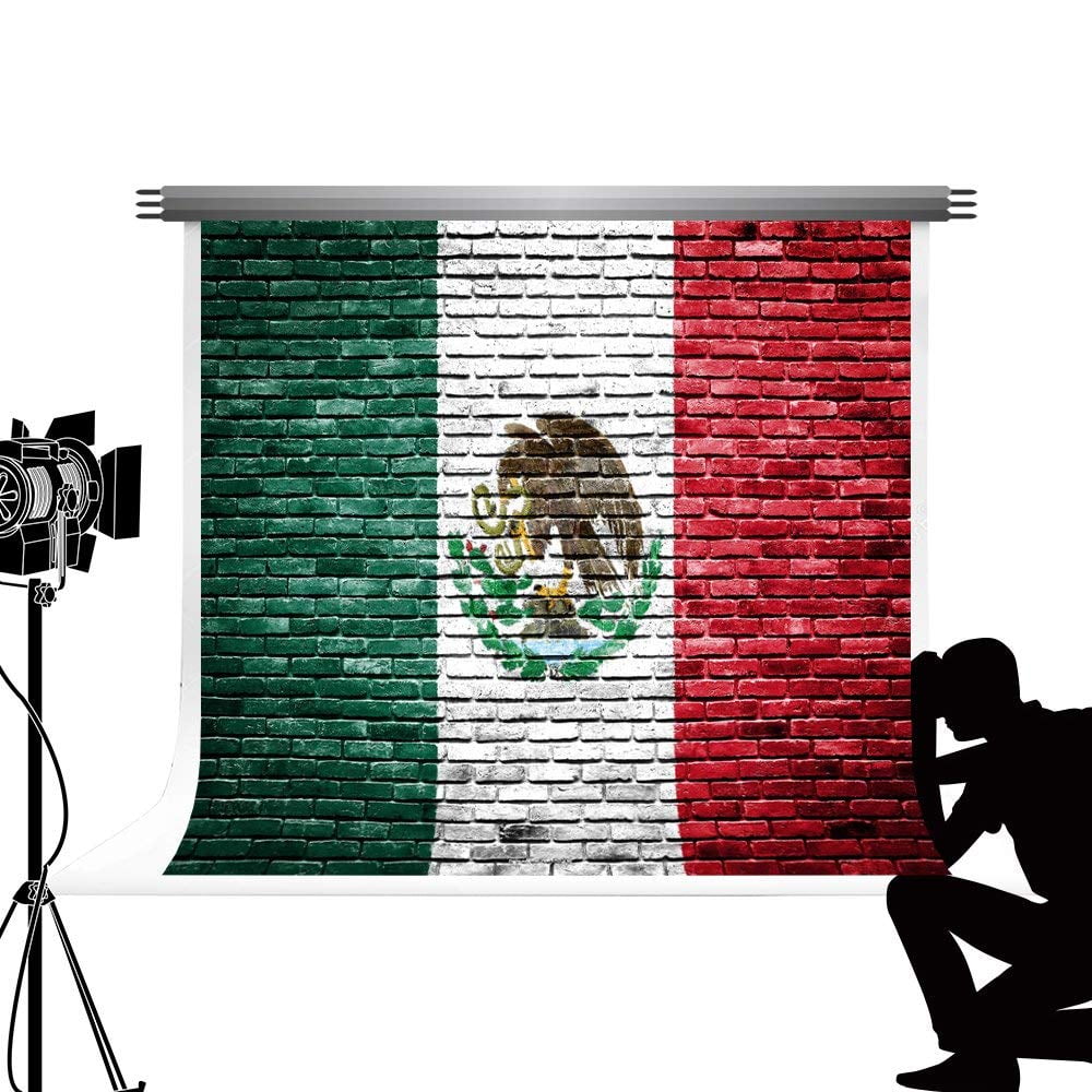 ABPHOTO Polyester Intalian Flags Photo Background Brick Wall Tricolor ...