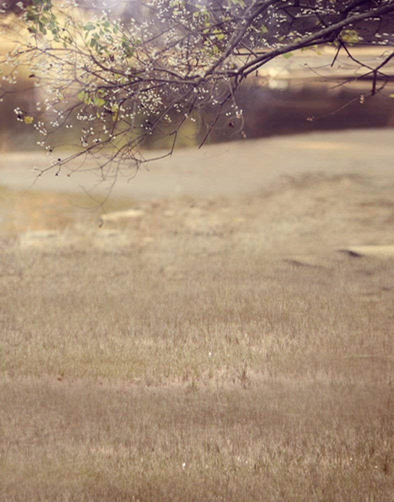 ABPHOTO Polyester Landscape Tree Photography Backdrops Photo Props ...