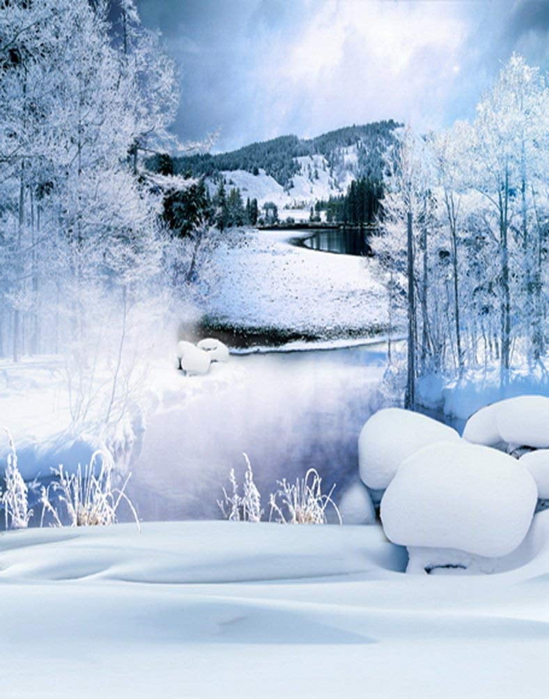 ABPHOTO Polyester Landscape Winter Snow Tree Hill Blue Sky Photography ...