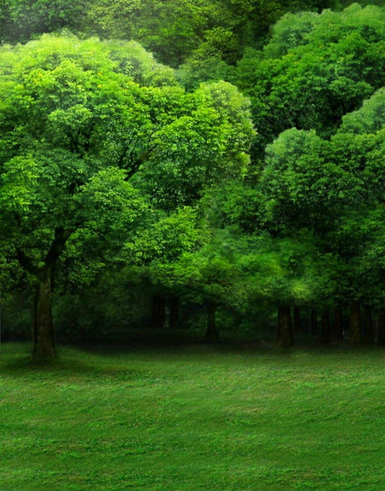 ABPHOTO Polyester Nature Green Tree Grass Photography Backdrops Photo ...