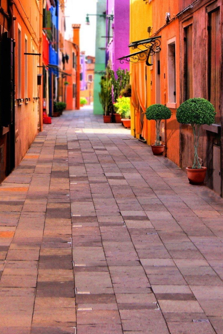 ABPHOTO Polyester Outdoor Street View Buildings Path Wedding Scene ...