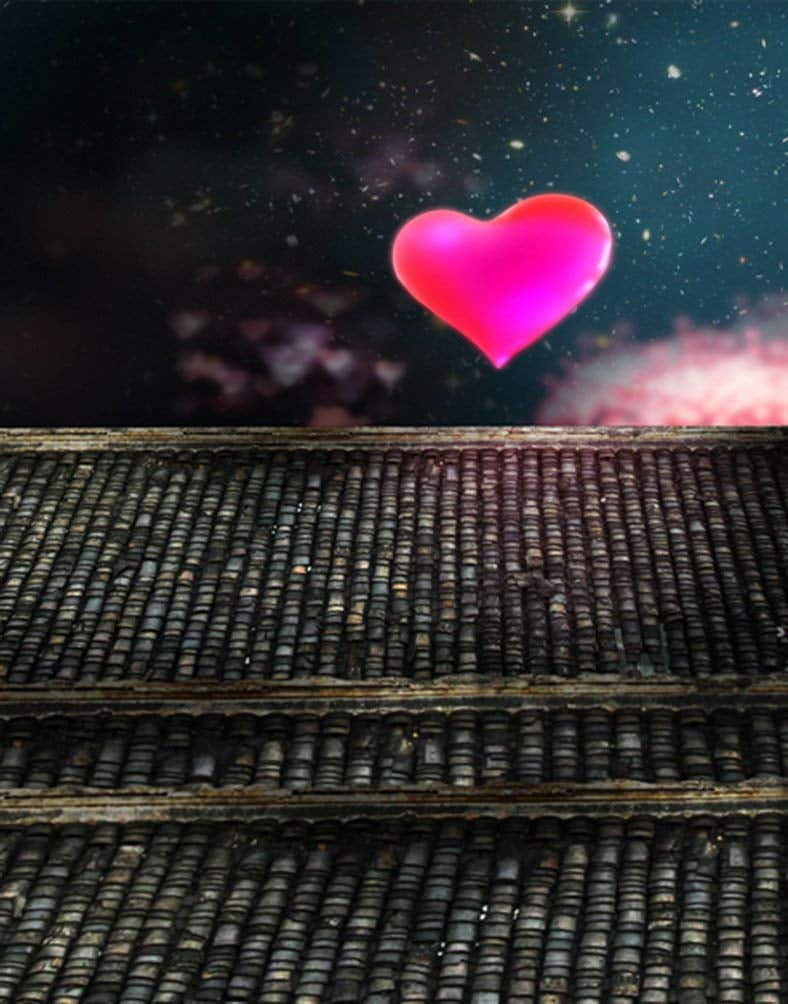 ABPHOTO Polyester Pink Heart Love House Roof Photography Backdrops ...
