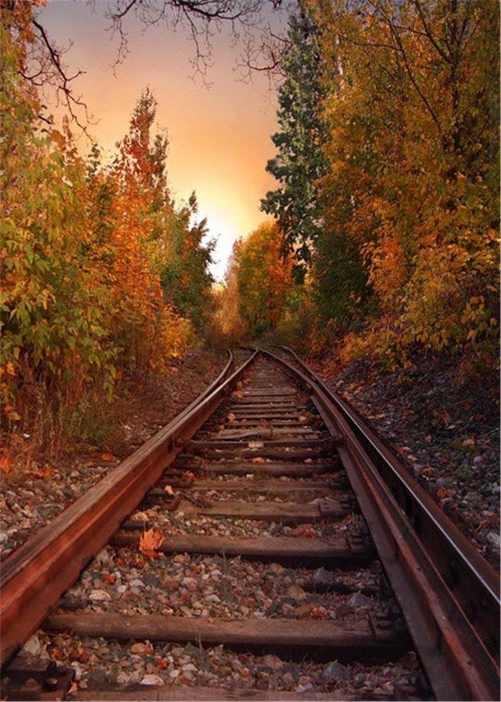 ABPHOTO Polyester Railway Photo Studio Background Train Track Forest ...