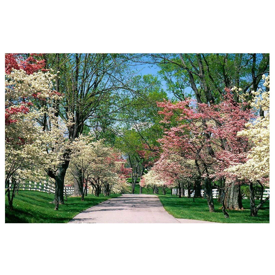 ABPHOTO Polyester Spring Garden Background Photography Backdrop Spring ...