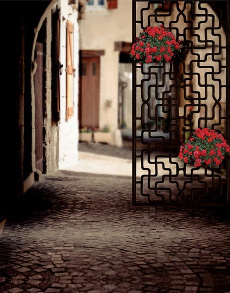 ABPHOTO Polyester Stone Floor Red Flowers Door Photography Backdrops ...
