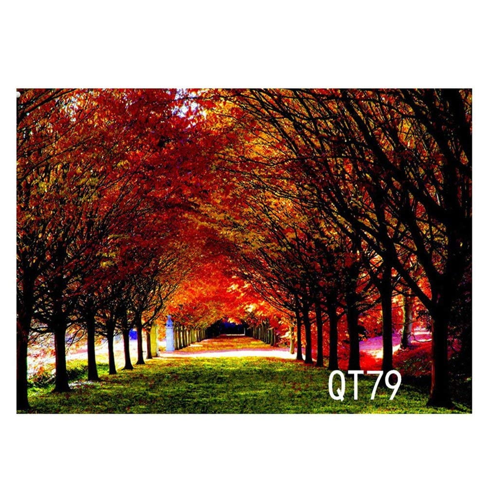 ABPHOTO Polyester Tree full of Red Leaves Fall Scenery Photography ...