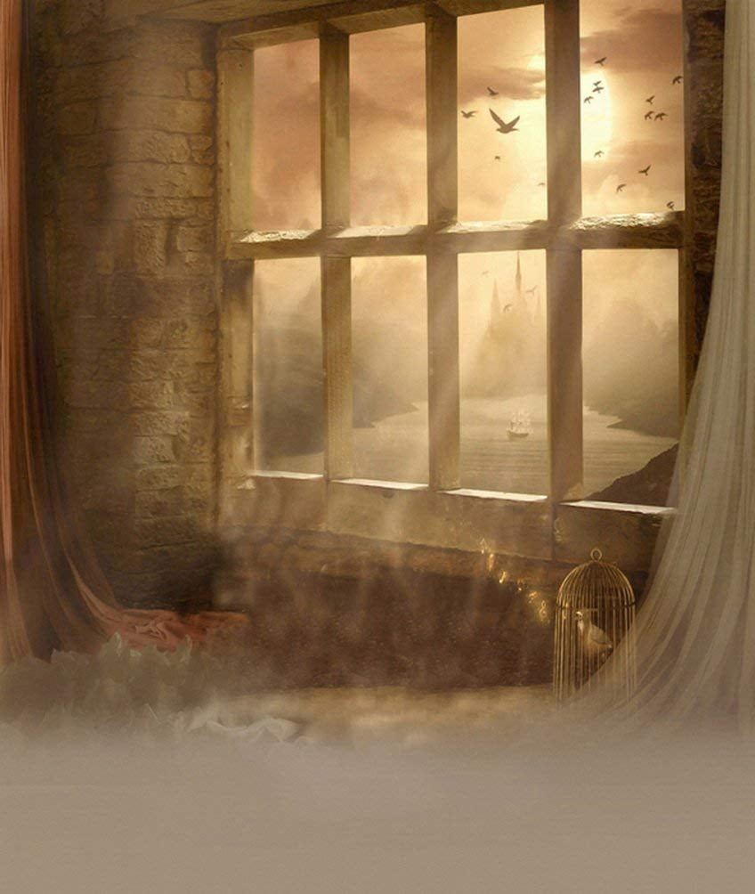 ABPHOTO Polyester Vintage Window Photography Backdrops Photo Props ...