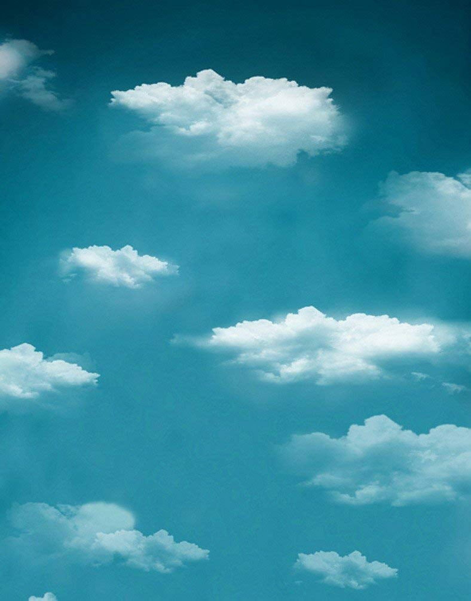 ABPHOTO Polyester White Clouds Blue Sky Clouded Photography Backdrops ...