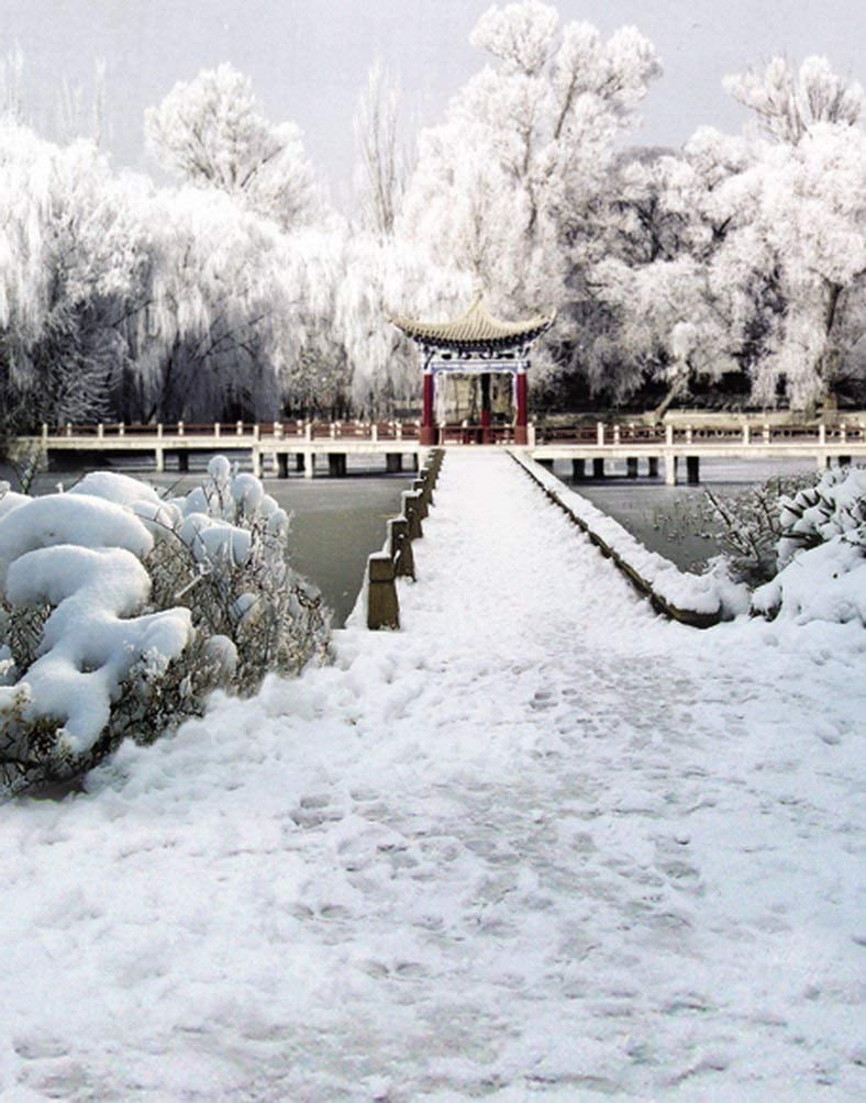 ABPHOTO Polyester Winter White Snow Pavilion Photography Backdrops ...