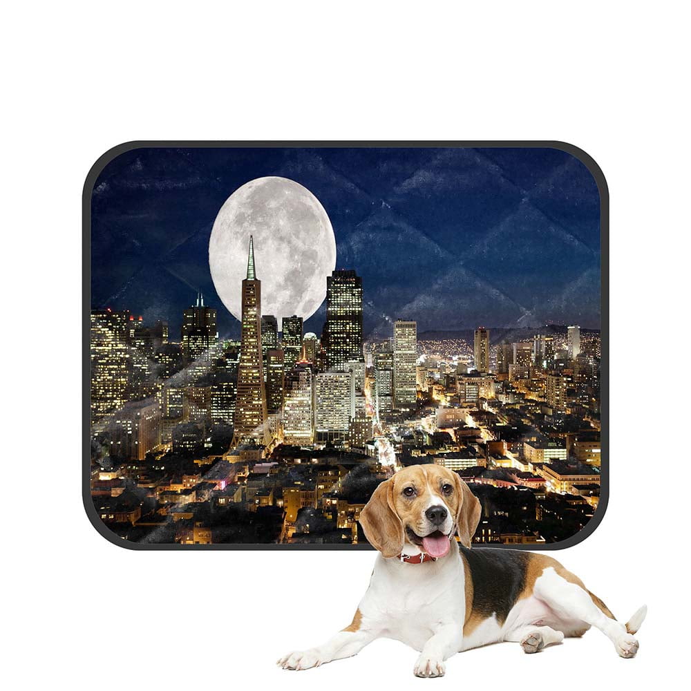 ABPHQTO A Full Moon Over An Urban Metropolis Pet Dog Cat Bed Pee Pads ...