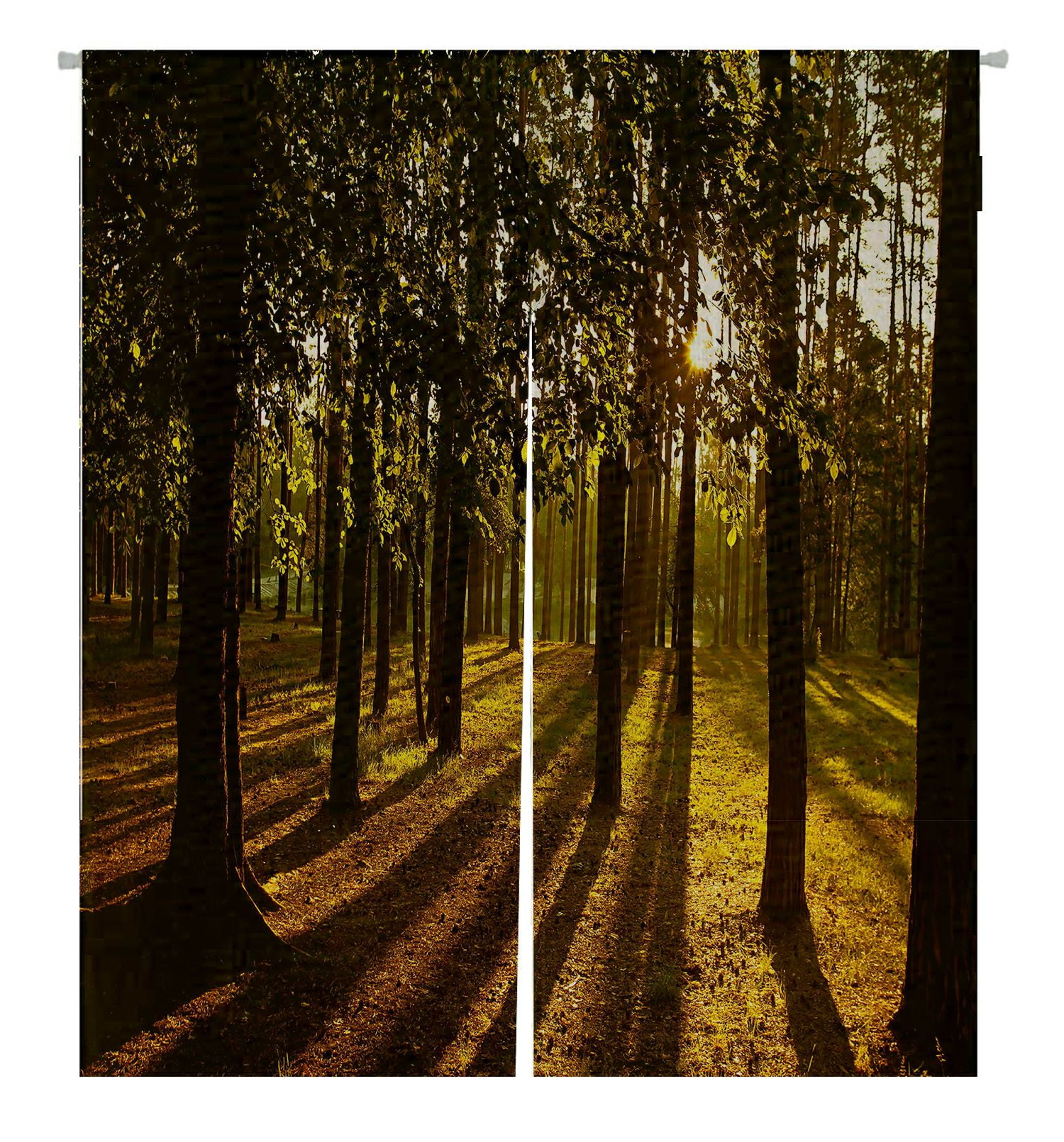 ABPHQTO Beams Of Light Shine Through The Trees In Summer Forest ...