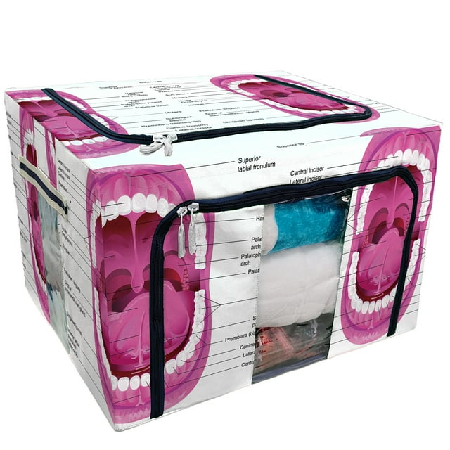 ABPHQTO Diagram For Anatomy Of Human Mouth Storage Bag Clear Window ...