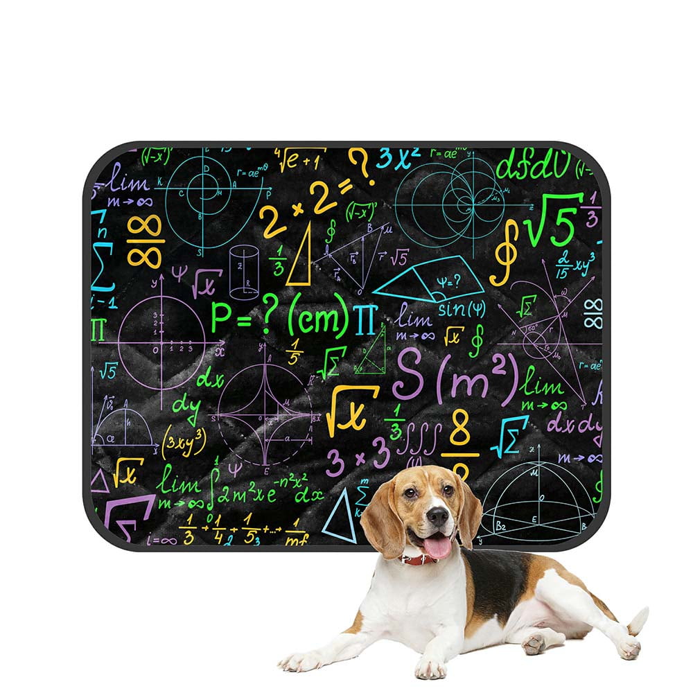 ABPHQTO Formulas Calculations Math Colorful Endless Pet Dog Cat Bed Pee Pads Mat Cushion Potty ...