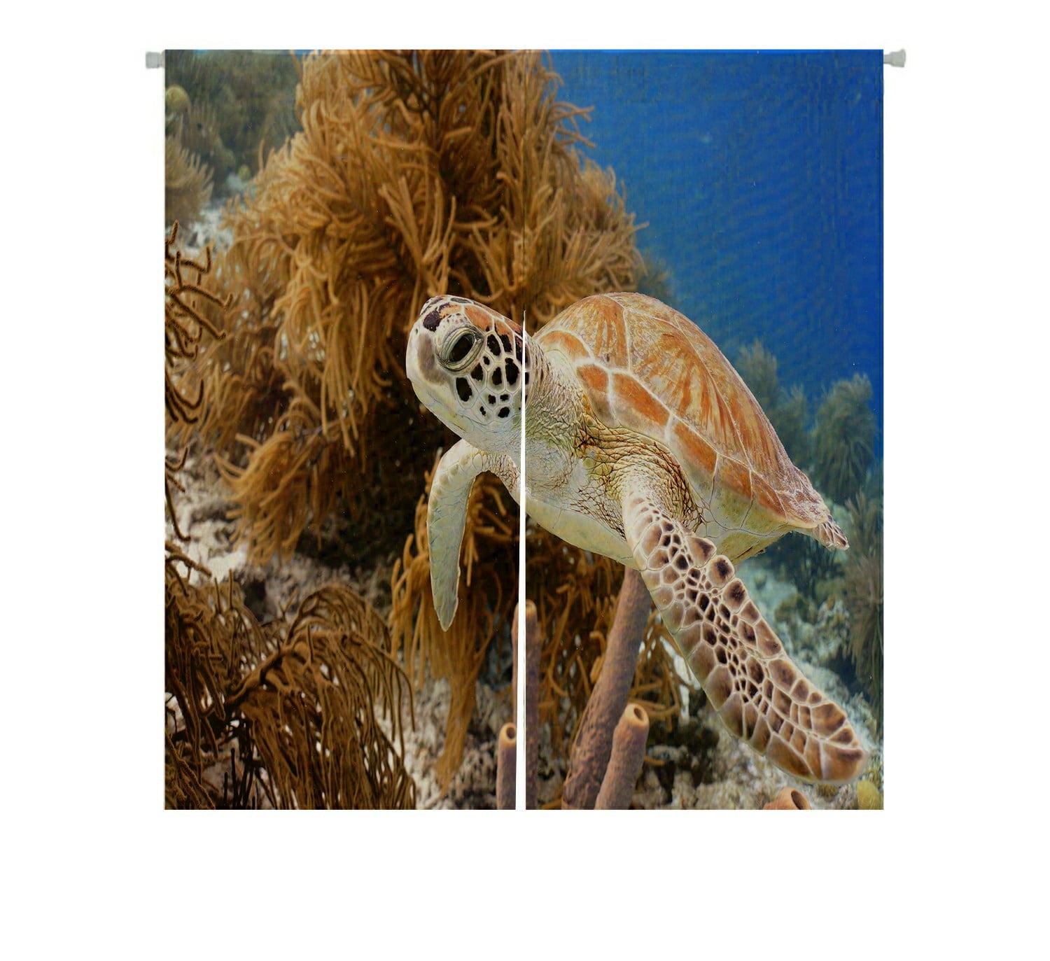 ABPHQTO Green Sea Turtle Swimming Tropical Coral Reef Bonaire Japanese ...
