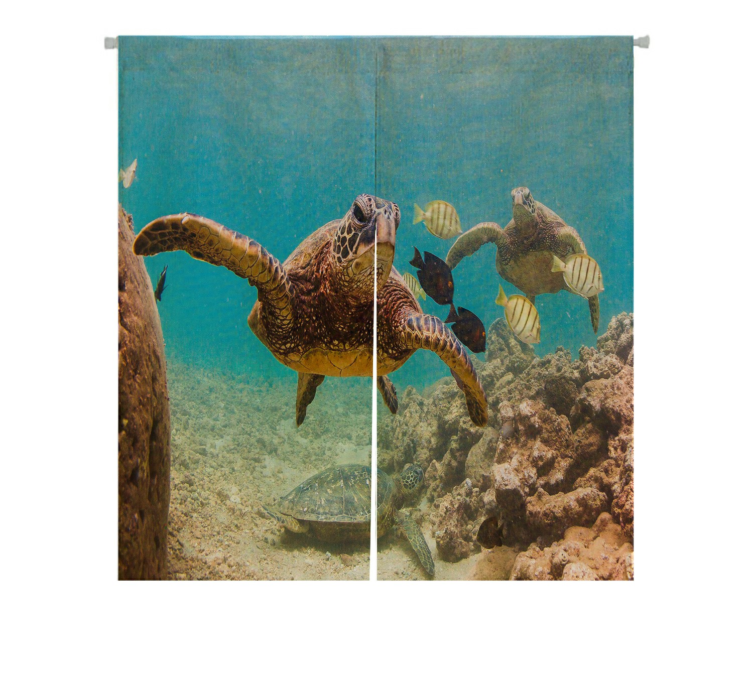 ABPHQTO Hawaiian Green Sea Turtle Cruises In The Warm Waters Japanese ...