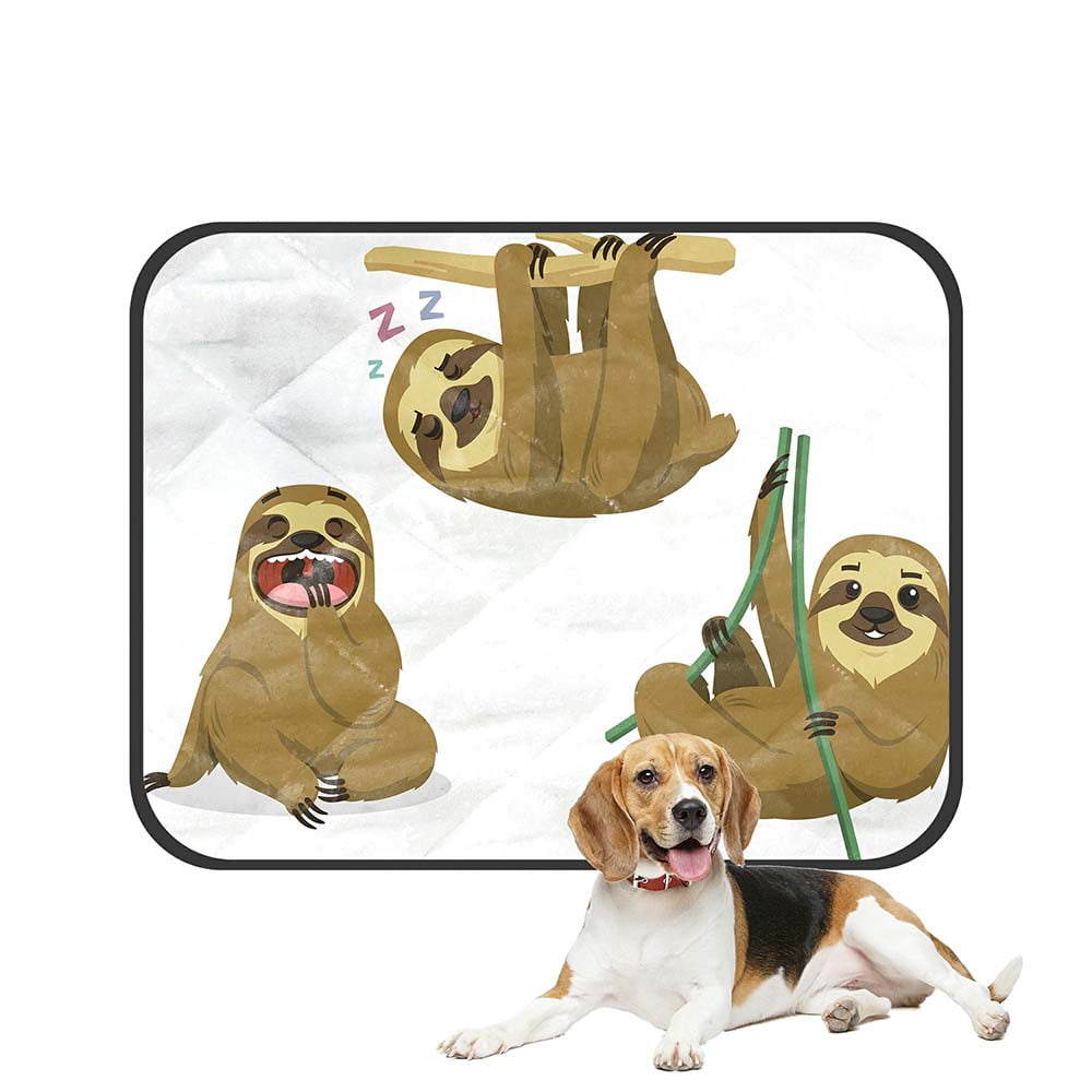 ABPHQTO Sloth Rain Forest Two Toed Lazy Mammal Hanging Sloths Pet Dog ...