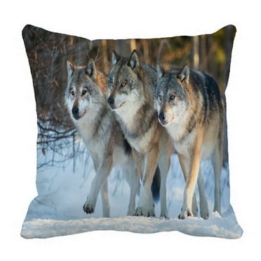 Comforter Cover Set 3D Wolf and Dream Catcher Printed Bedding Cover ...