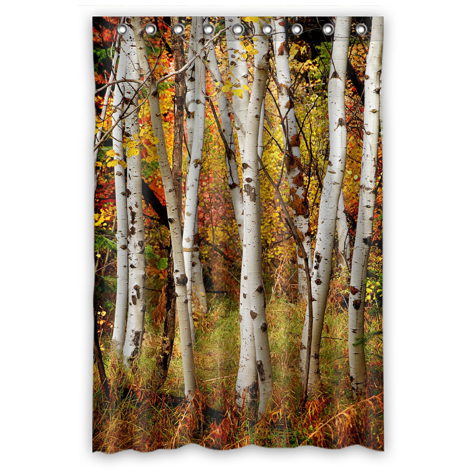 ABPHQTO White Fall Birch Trees With Autumn Leaves Waterproof Polyester ...