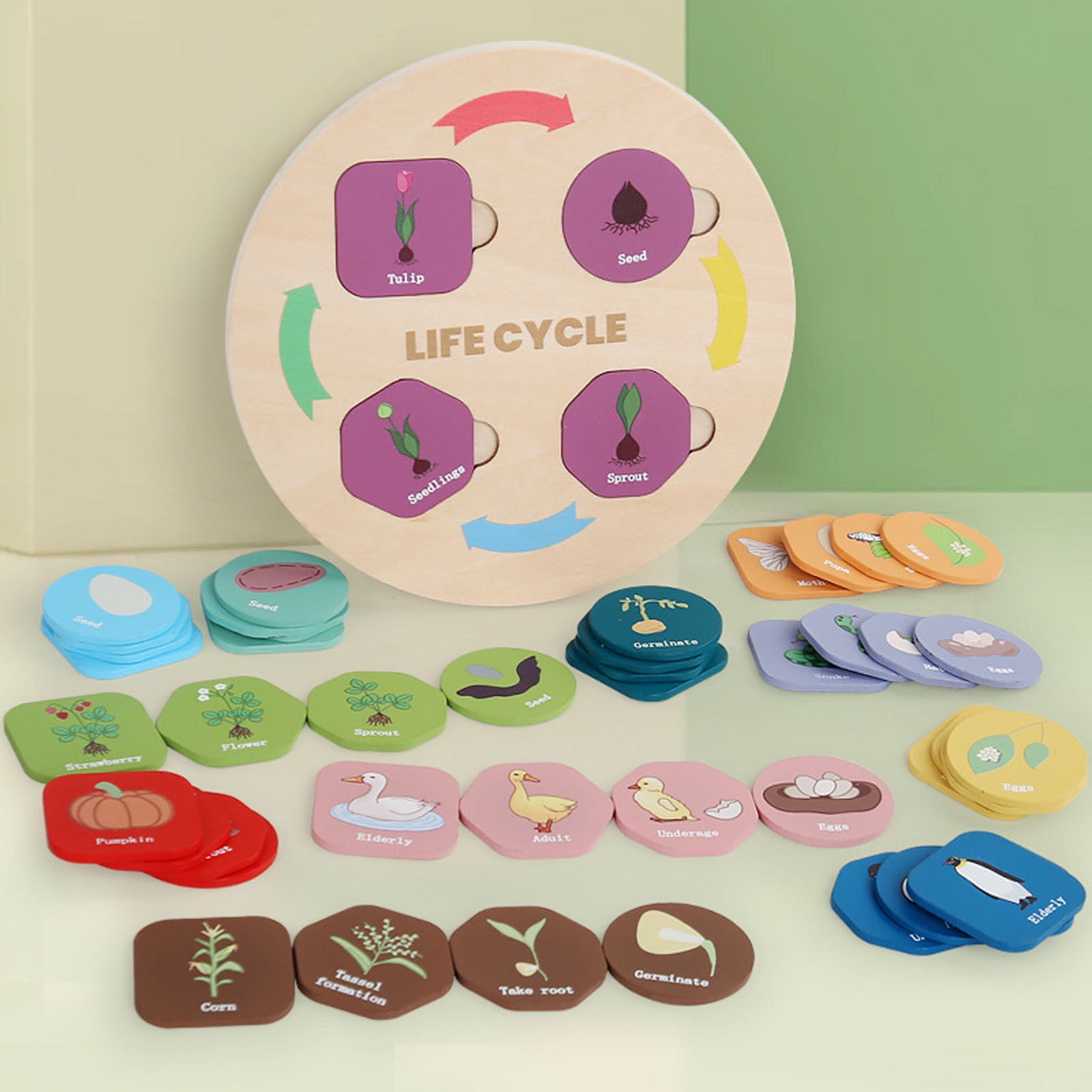 ABPWLY Toys Wooden Growth Cycle Tray Montessori Educational Toy for ...