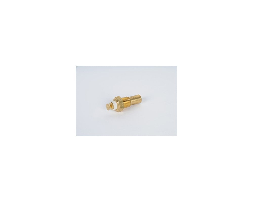 AC Delco 3439088 Coolant Temperature Sensor - Walmart.com