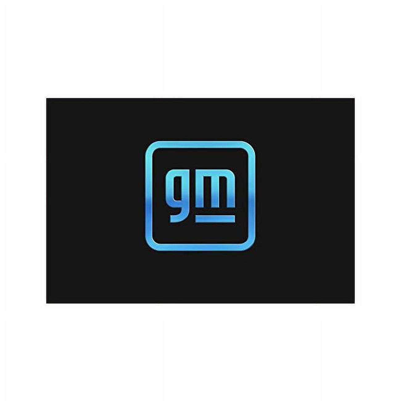 GM Genuine Parts 24100002 Engine Oil Filler Cap O-Ring - Walmart.com