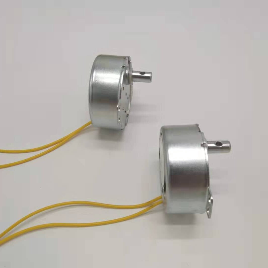 AC Motor 110v 220V Output Power Low Noise Synchronous AC Small Gear ...