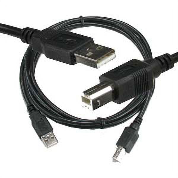 ACCL 6Ft A-Male to B-Male USB2.0 Cable Black, 10 Pack - Walmart.com