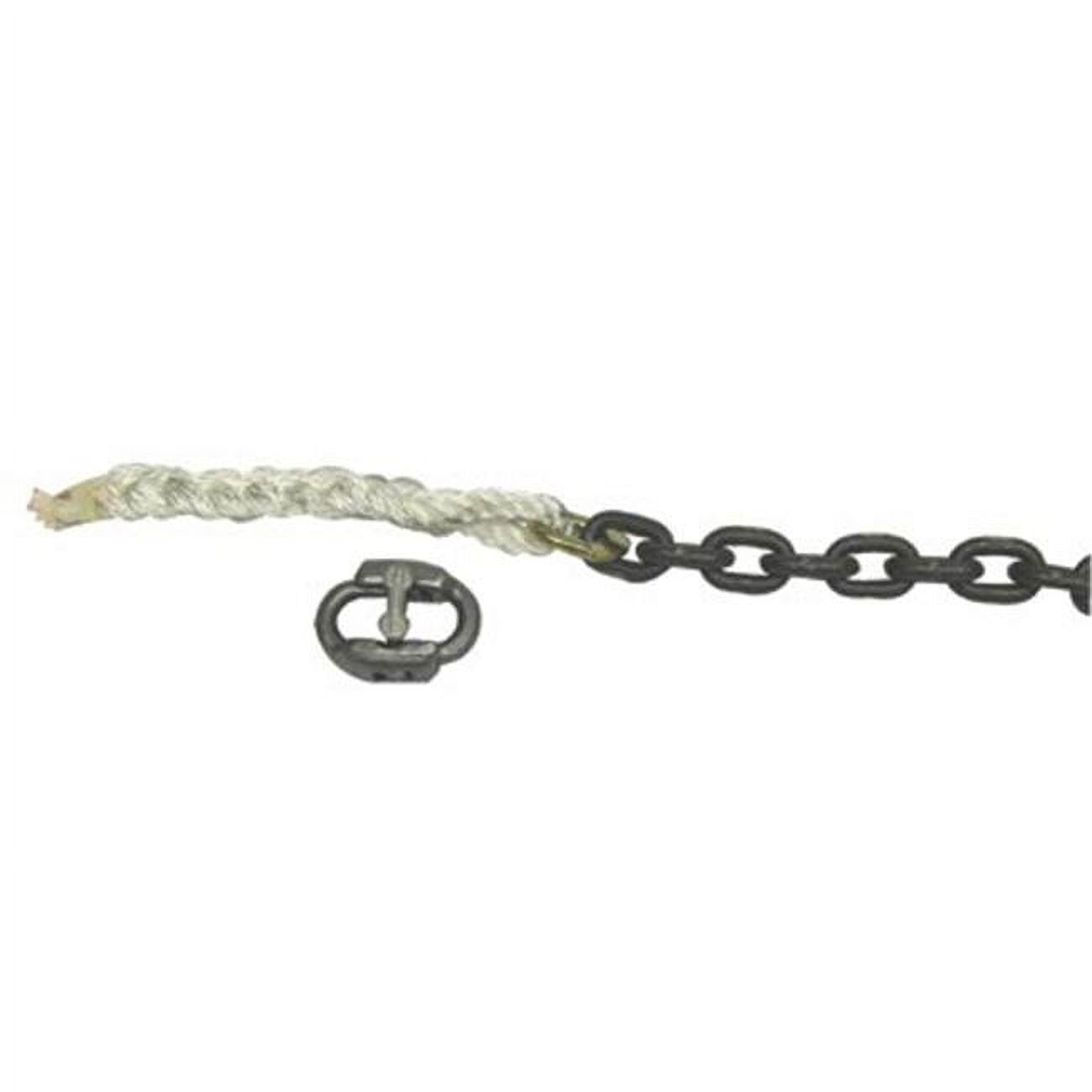 ACCO Chain Spinning Chain Kit, 5/16 in dia, 22 ft L - 1 EA (173-S5 ...