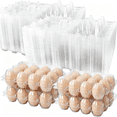 ACDANC 100 Pack 12 Count Plastic Egg Cartons | Egg Holder for Fridge ...