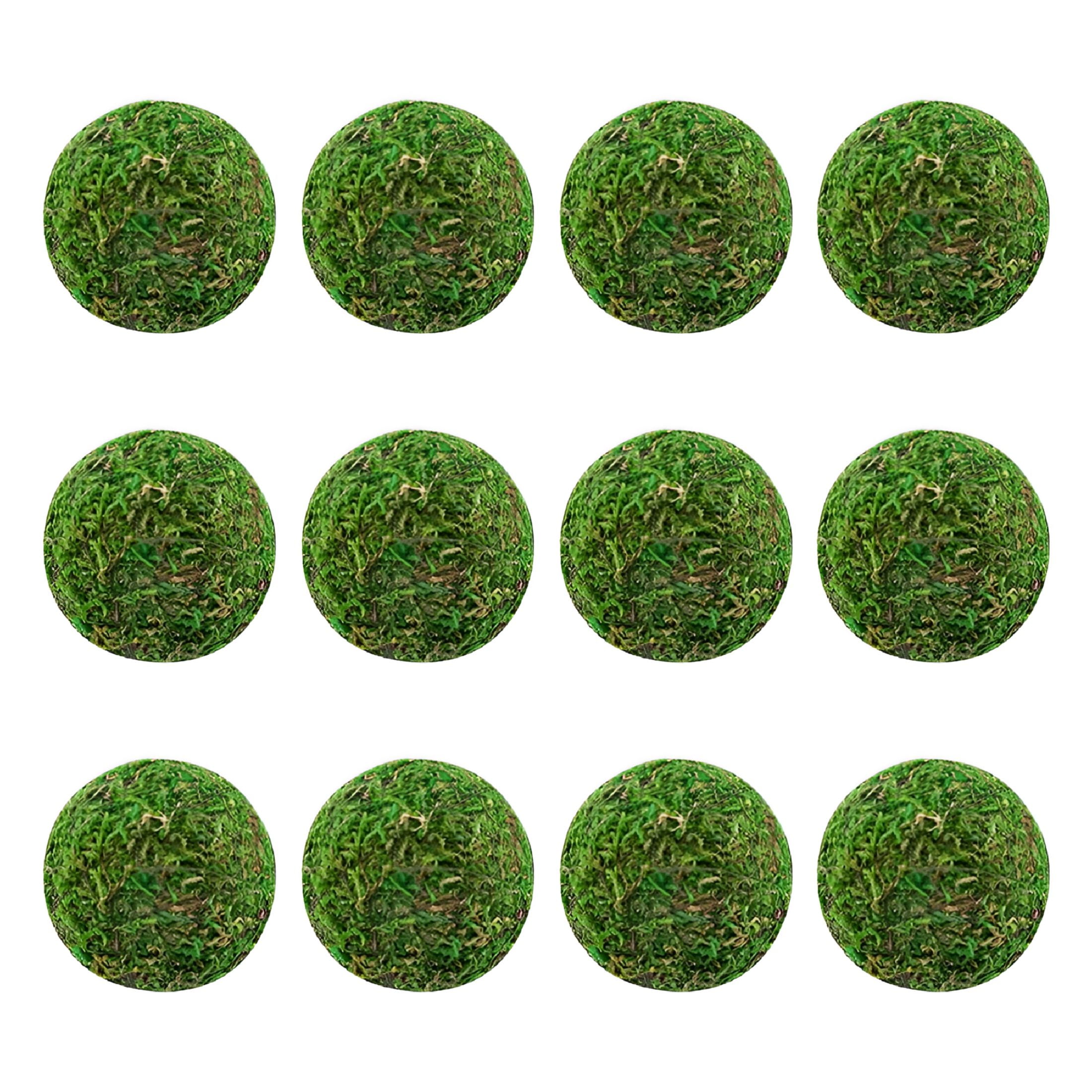 ACDANC 12 Pcs Moss Ball Table Balls Planter Decorative Wedding Grass ...