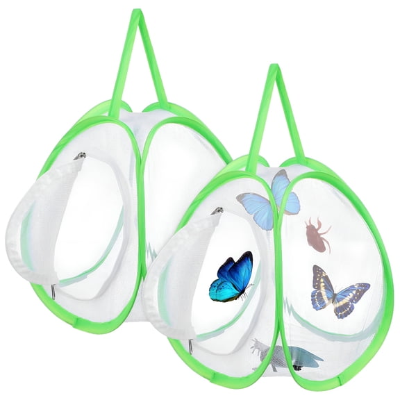 Butterfly Cage