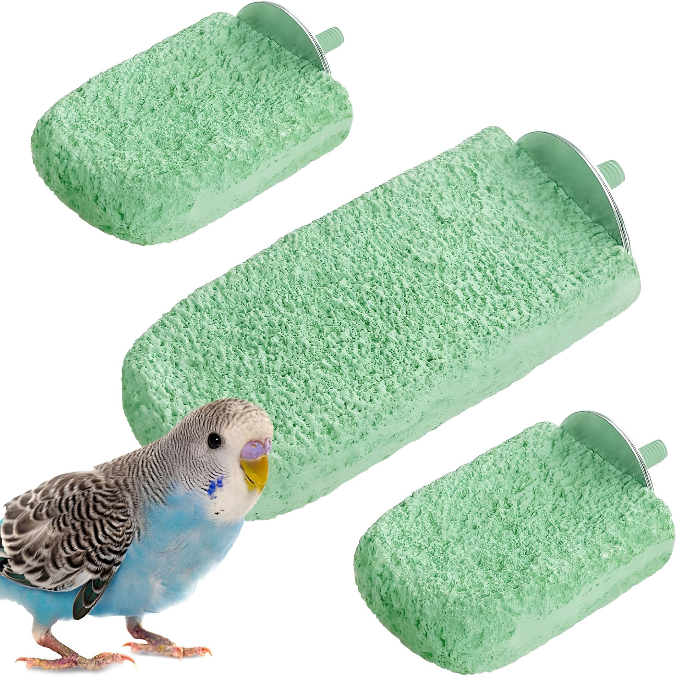 ACDANC 2026 New 3Pcs Beak Grinder for Birds: Parakeet Beak Grinding ...