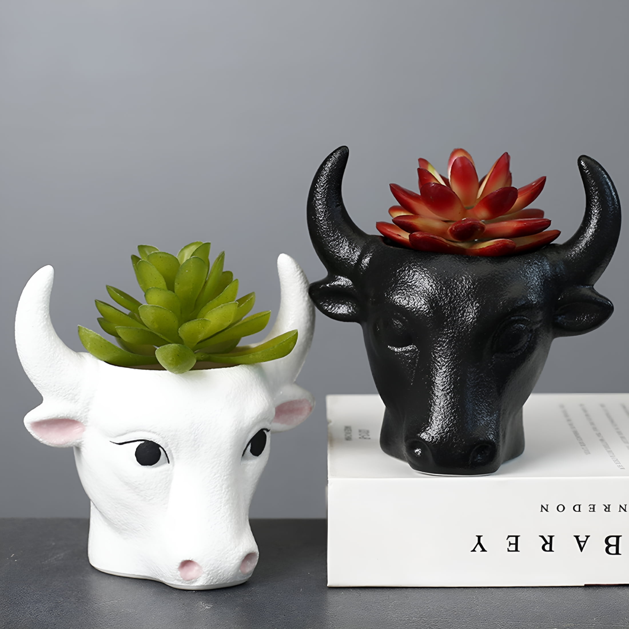 ACDANC 2026 New Ceramic Planter with Drainage Hole for Plants, Indoor ...
