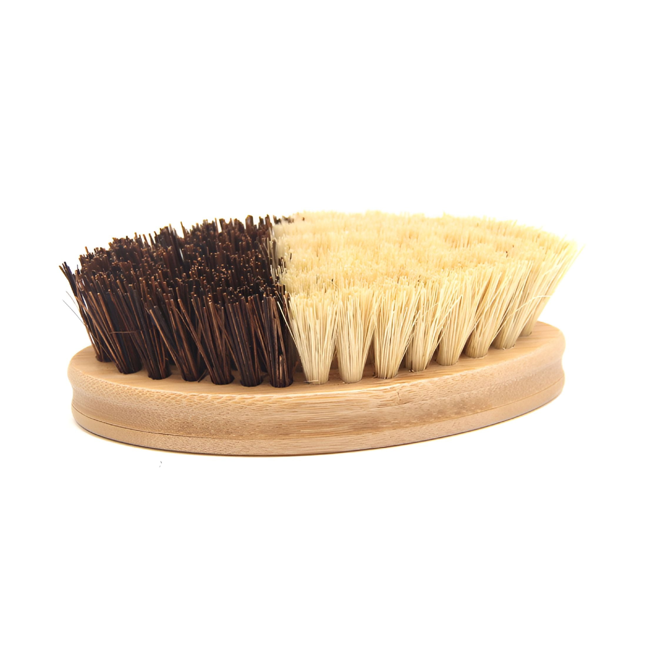 ACDANC 2026 New Cleaning Brush – Cleaning Vegetables & Oysters ...