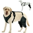 ACDANC 2026 New Dog Knee Brace for Torn Acl,Adjustable Acl Brace for ...
