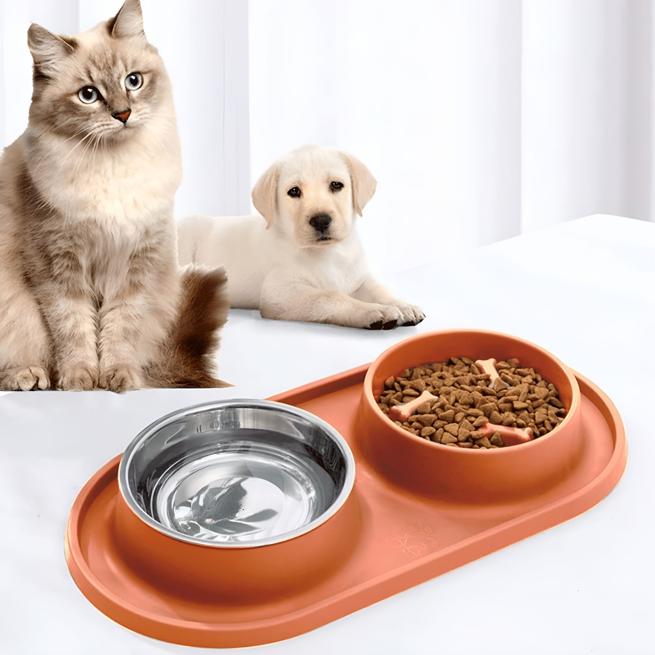ACDANC 2026 New Double Dog Bowl Set - Stainless Steel Pet Food & Water ...