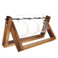 ACDANC 2026 New Plant Glass Terrarium Vase Planter Bulb Stand Desktop ...