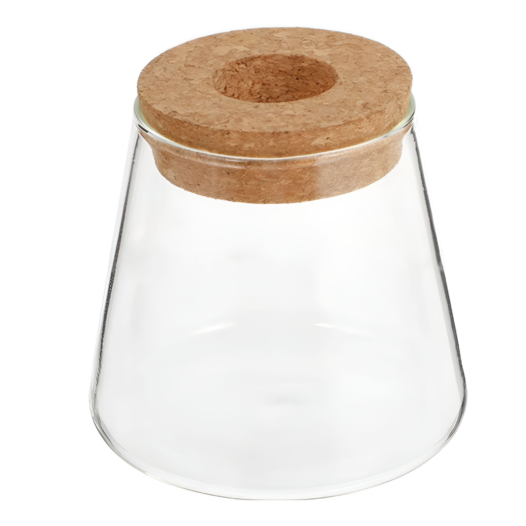 ACDANC 2Pcs Hydroponic Glass Vase with Wooden Lid, Terrarium Tube ...