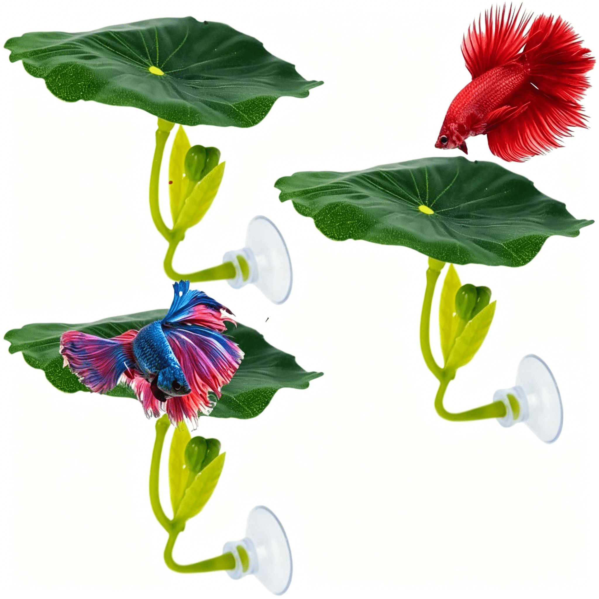 ACDANC 3 Pcs Set Betta Fish Bed Leaf Hammock for Betta Fish,Practical ...
