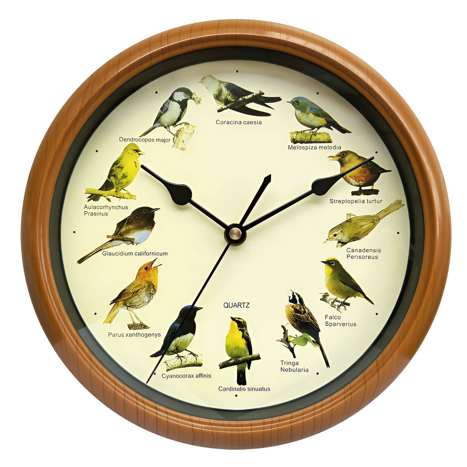ACDANC Alarm Clock,Bird Chirping Digital Table Clock,High-Quality ...