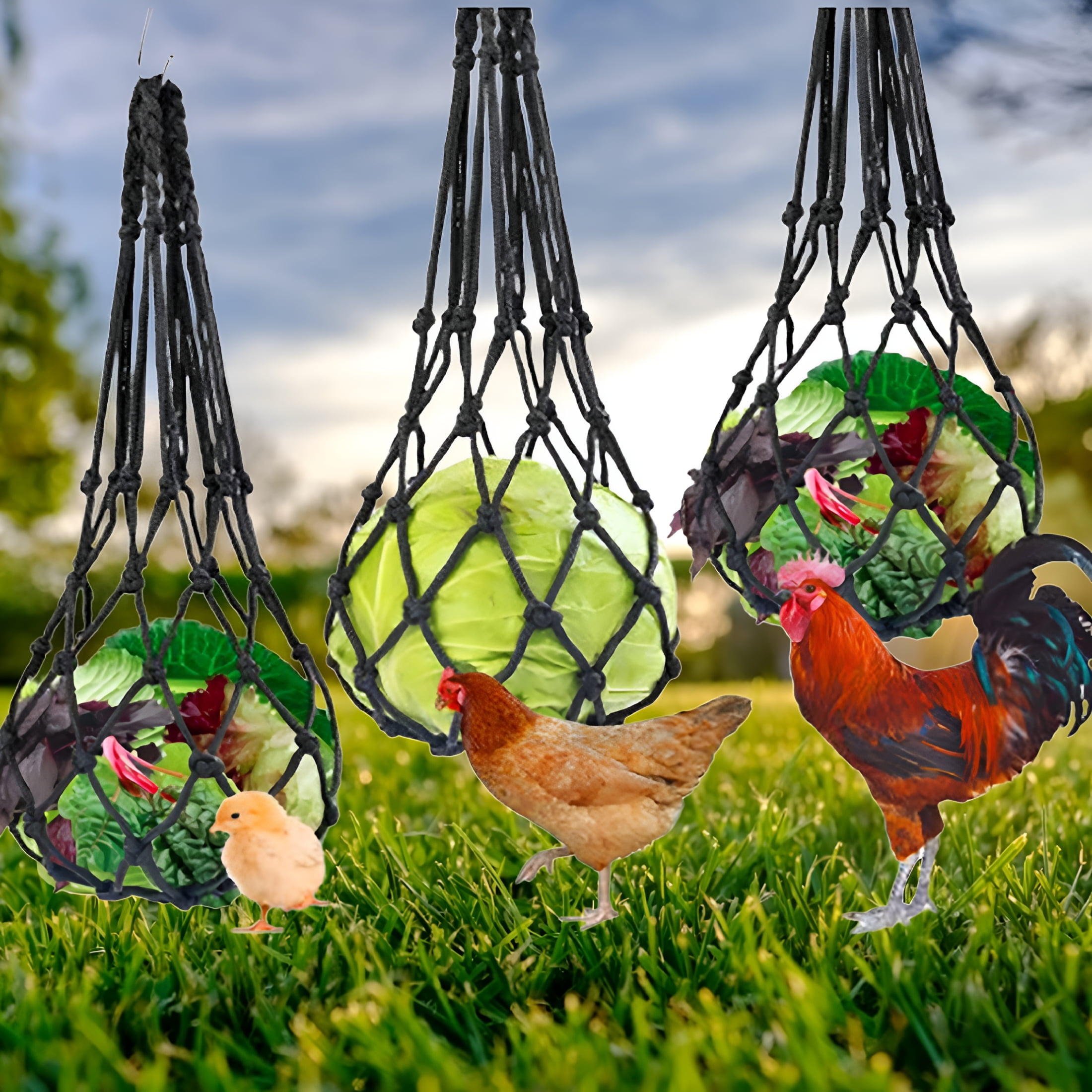 ACDANC Chicken Vegetable Feeder String Feeding Net - Cabbage Fruit ...