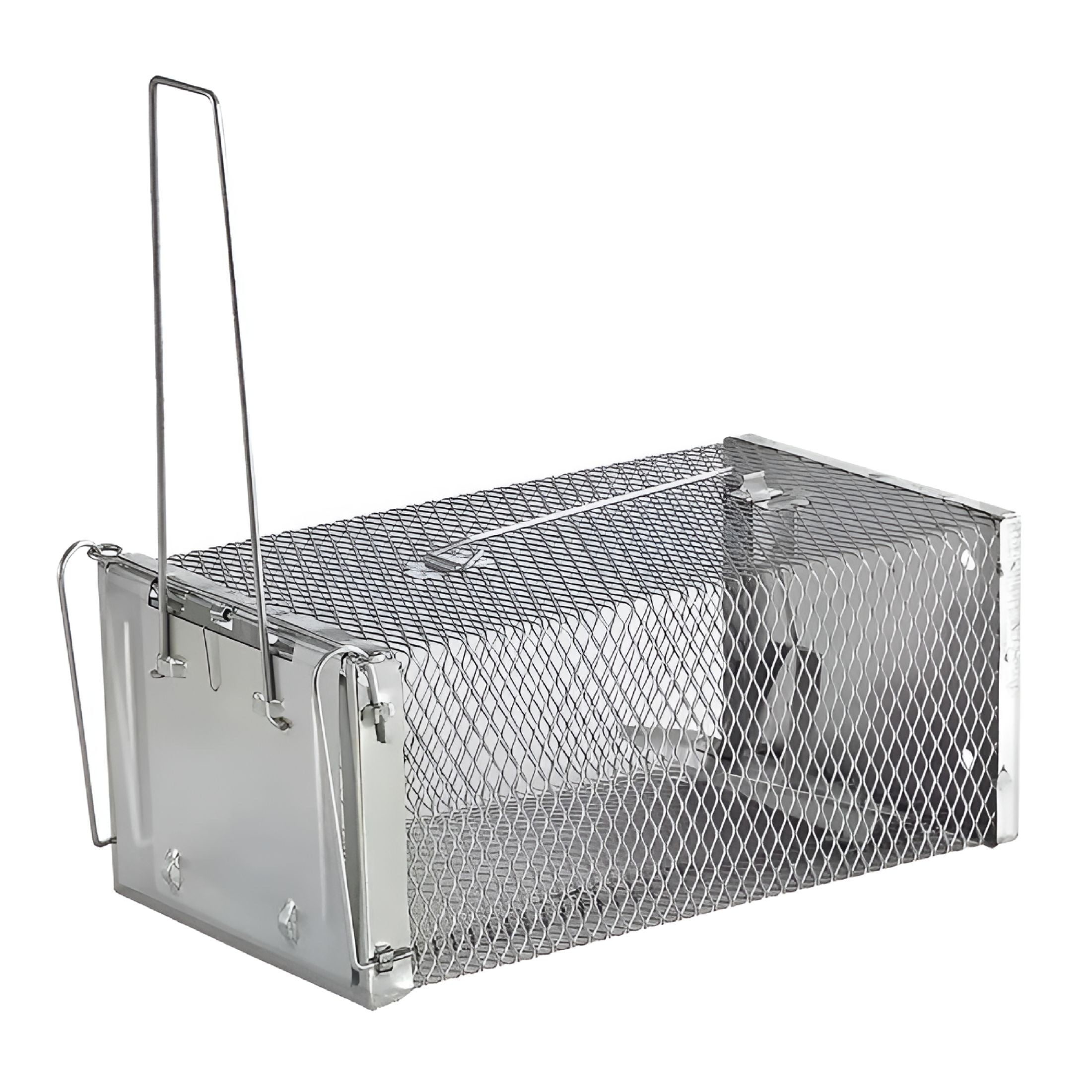 ACDANC Chipmunk Trap,Squirrel and Rat Trap Cages That Work,Humane Mouse ...